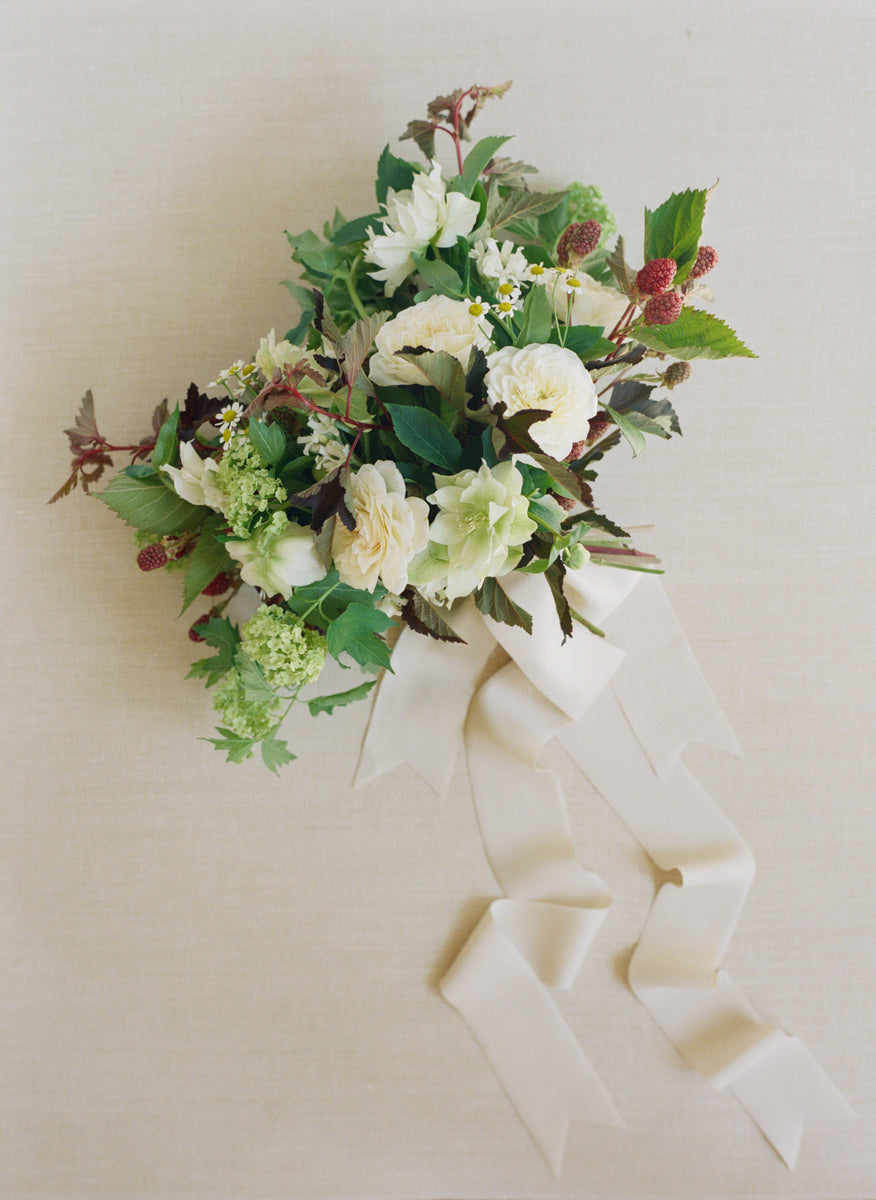 Comparing Film Scanners: Frontier vs. Noritsu – Locust Collection